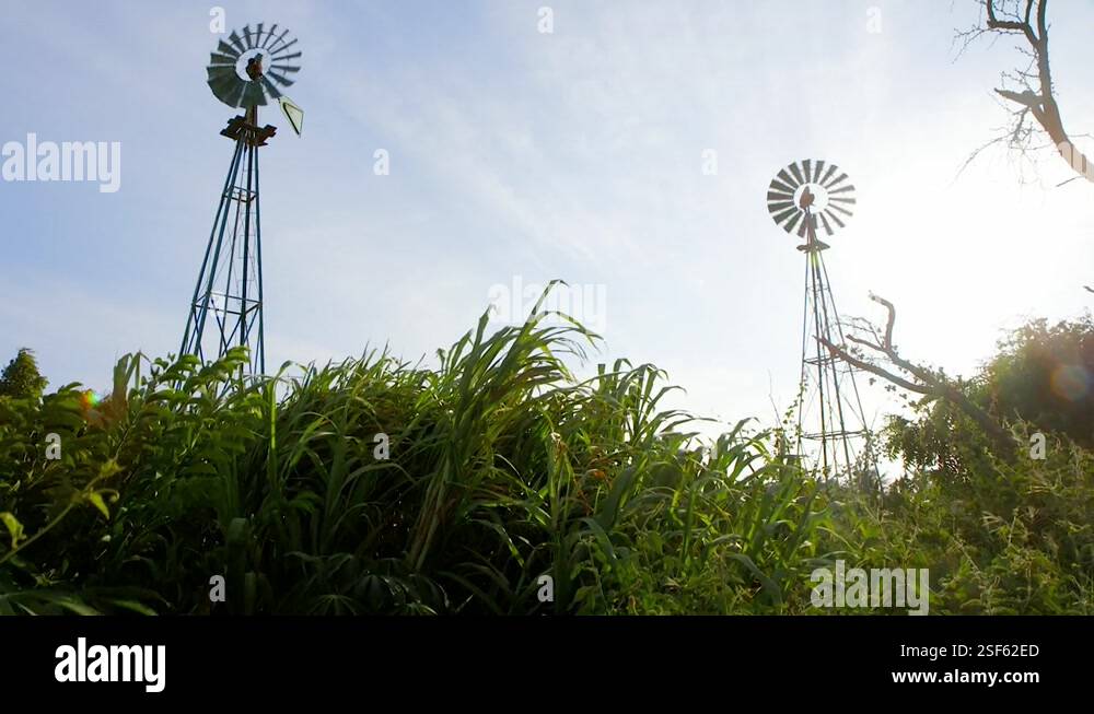 Two windmills spinning on a farmland, rising jib shot Stock Video ...