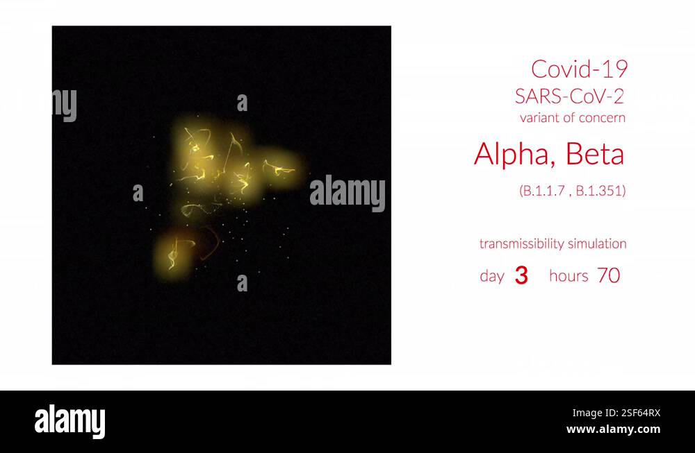 Transmission simulation Alpha and Beta Covid variant of concern, white ...