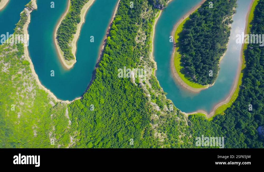 Aerial view of green grass forest with tall pine trees and blue bendy ...