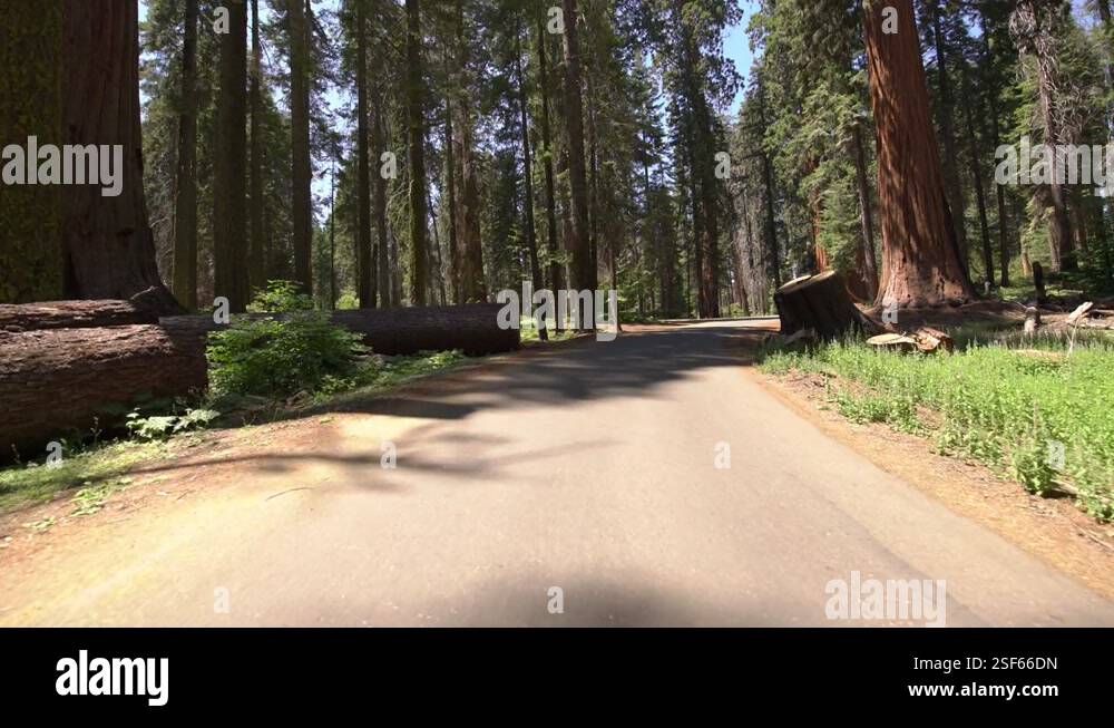 Sequoia National Park Driving Plate Moro Rock Loop 07 Entrance In ...