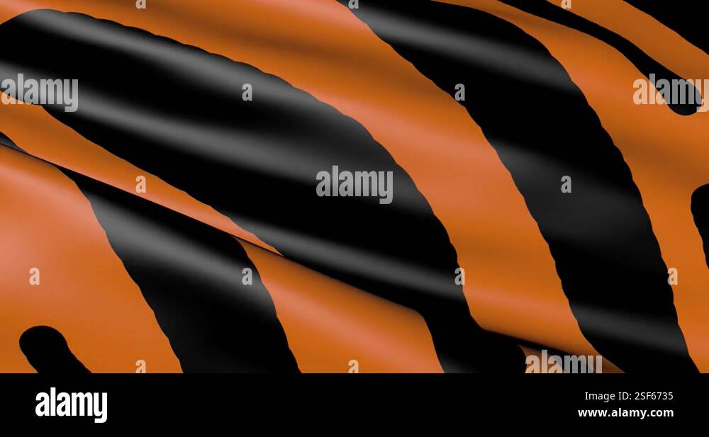 Fabric with tiger stripes print Stock Video Footage - Alamy