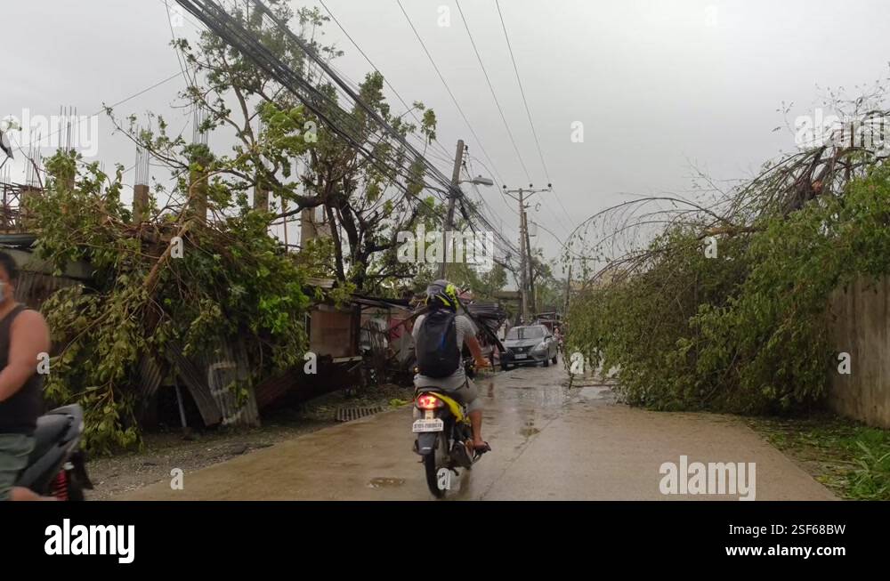 Broken trees partially block the road after Typhoon Rai hit Cebu City ...