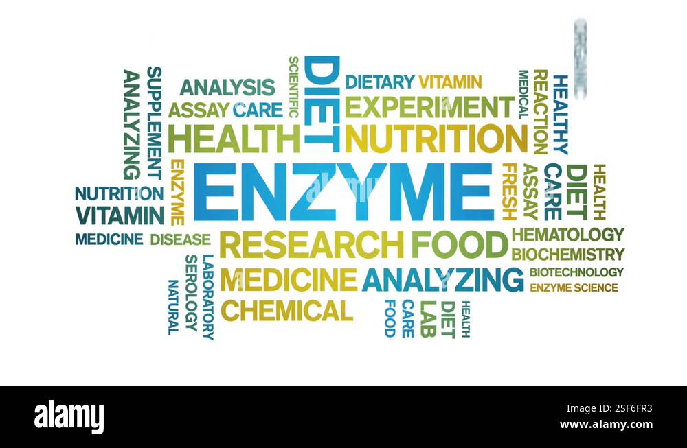 Enzyme animated word cloud,design animation kinetic typography seamless ...