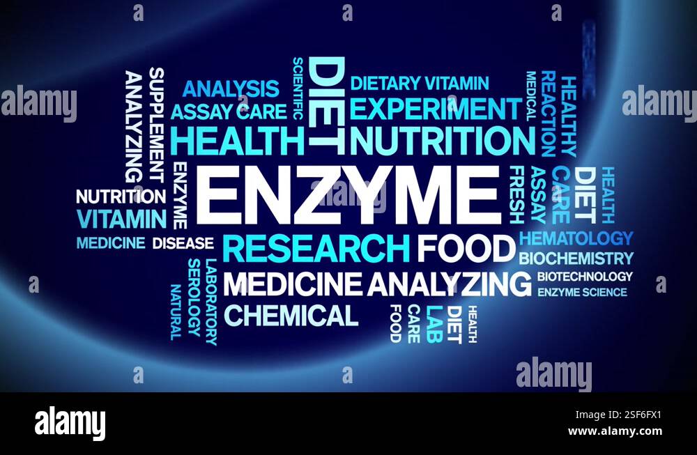Enzyme animated word cloud,design animation kinetic typography seamless ...