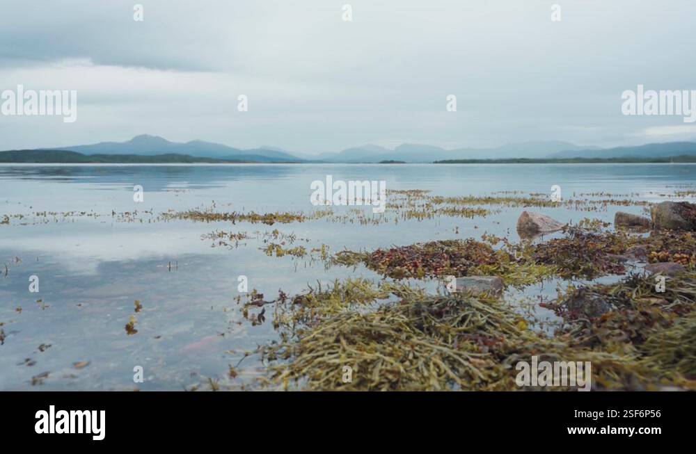 Clear Lake Water Reflecting Sky In Senja Anderdalen National Park In ...