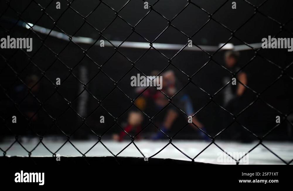 Metal octagon mesh. Mma fighters fight each other. The referee watches ...