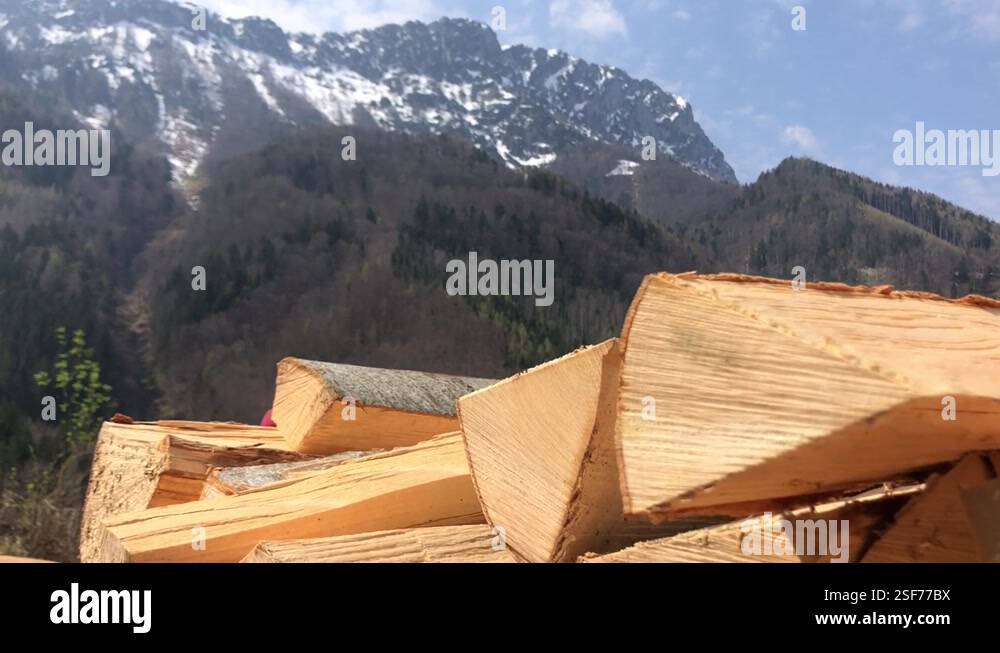 Wood in piles Stock Videos & Footage - HD and 4K Video Clips - Alamy
