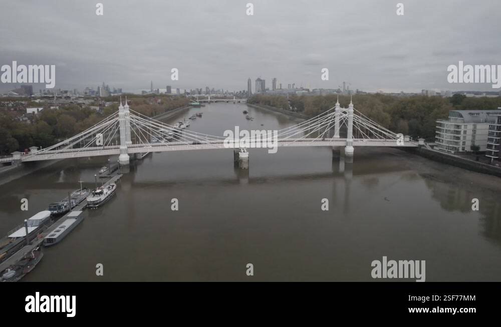 Trees river thames Stock Videos & Footage - HD and 4K Video Clips - Alamy