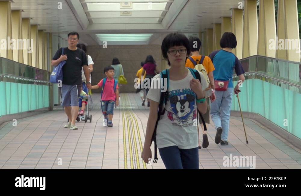 Chinese footbridge Stock Videos & Footage - HD and 4K Video Clips - Alamy