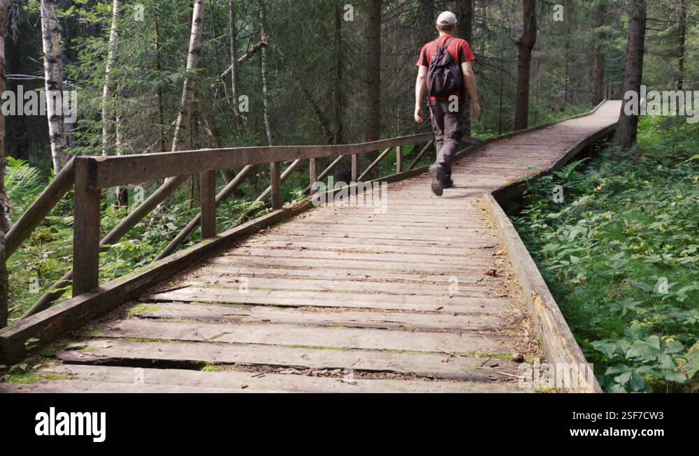 one man walking on a boardwalk in the woods away from the camera Stock ...