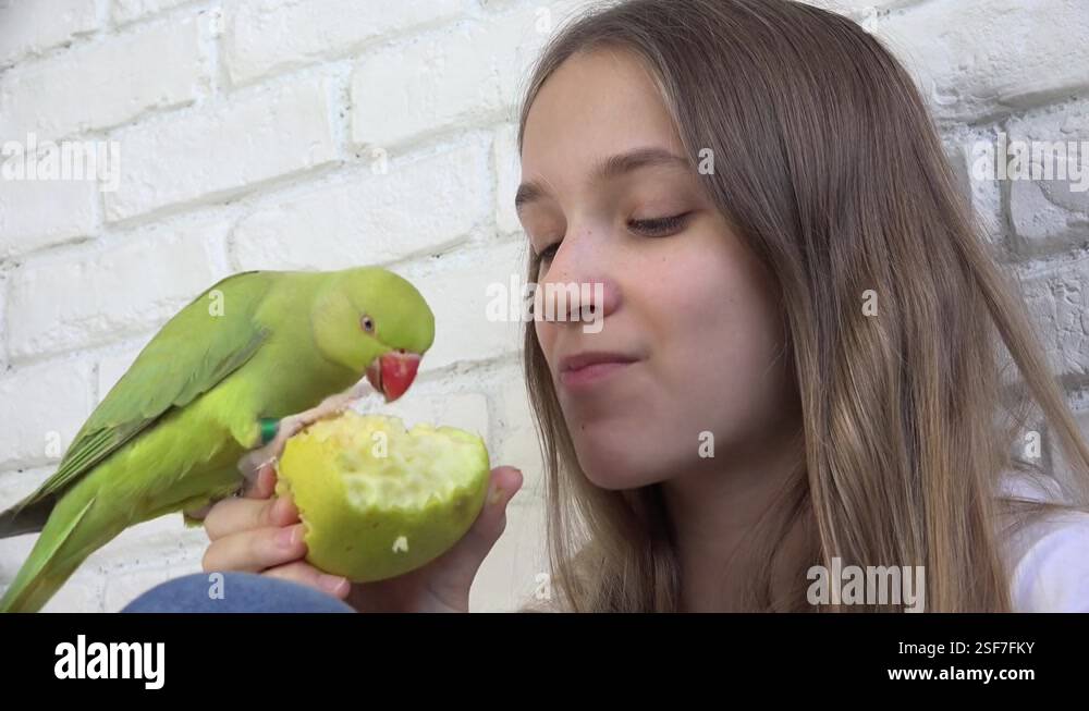 Girl Talk Parrot, Happy Kid Playing her Pet, Child, Bird Eating Apple Fruit Stock Video Footage ...