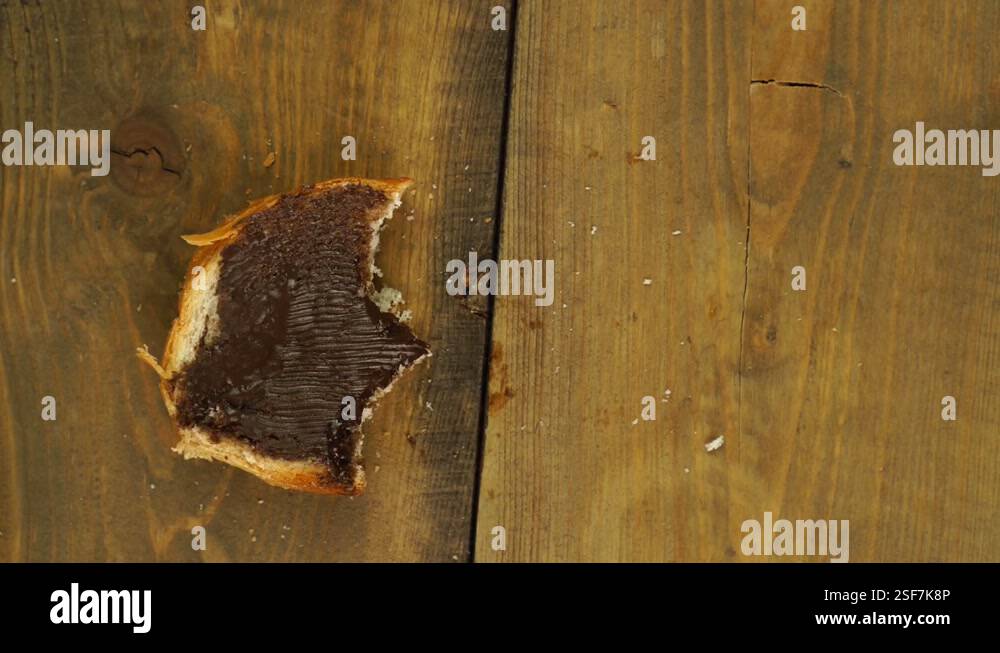 Stop motion animation of eating vegan food chocolate butter bite by ...