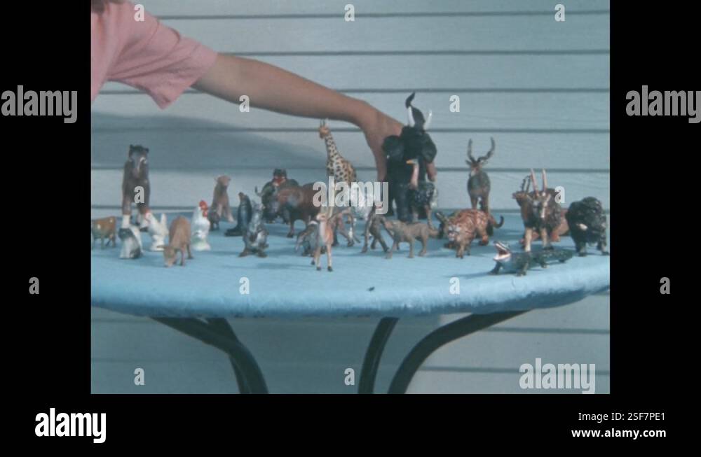1960s: Two boys looking at table full of toy animals on porch. Boy ...