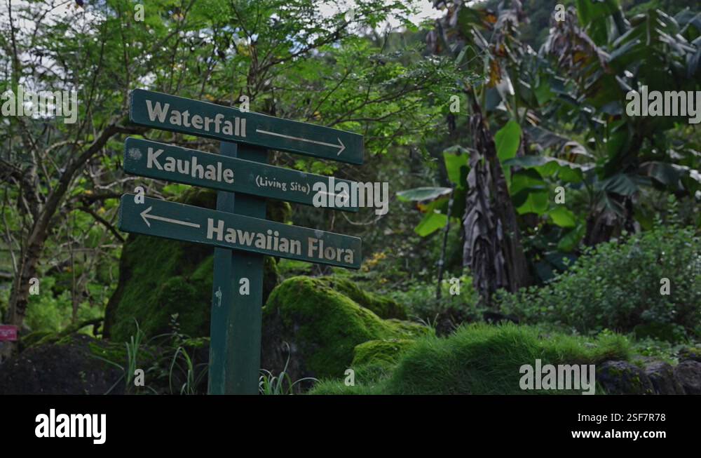 Waterfall direction Stock Videos & Footage - HD and 4K Video Clips - Alamy