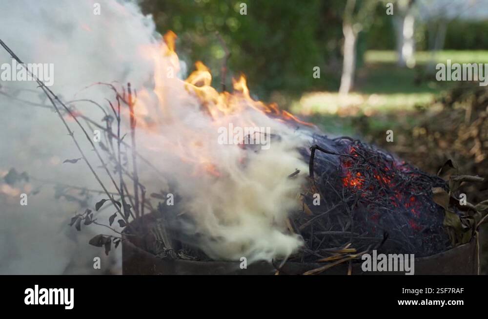 Wet and dry branches burning with smoke in a rusty barrel, close up ...