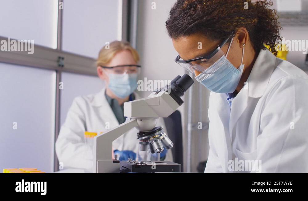 Female Lab Workers Wearing PPE Analysing Samples In Laboratory With ...