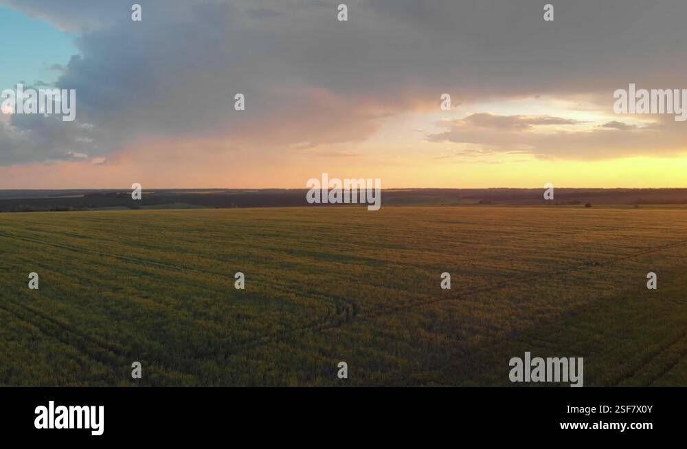 Modern agriculture. Aerial view of green agricultural field on sunny ...