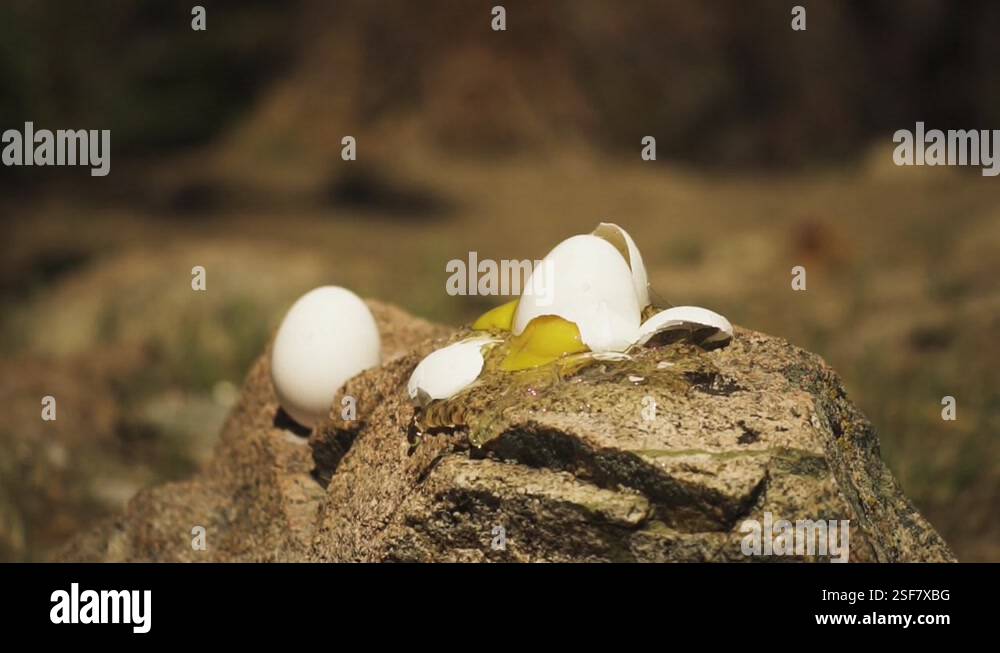 Close up view of an egg broken with great force by a bullet hitting it ...