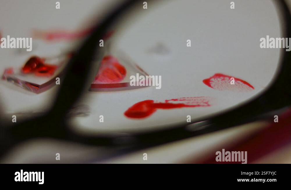 Title Sequence of Crime Scene of a serial Killer Blood Splatter on ...
