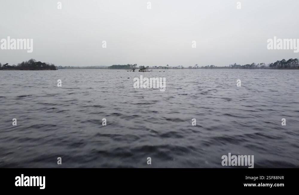 Low altitude flying over lake water and coastal plants on moody day ...