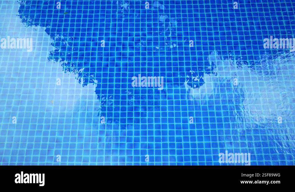 tree shadow reflection on pool water with swimming pool background ...