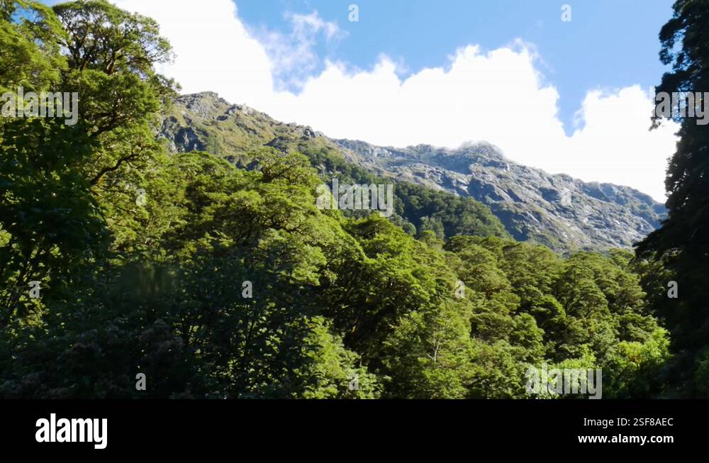 Cinematic panorama shot of massive mountains and dense green forest ...