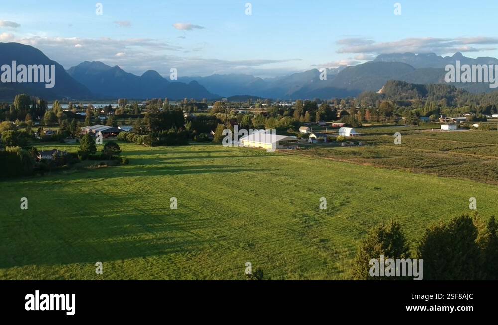 Agriculture farms with cultivated fields of fruit crops, rural green ...