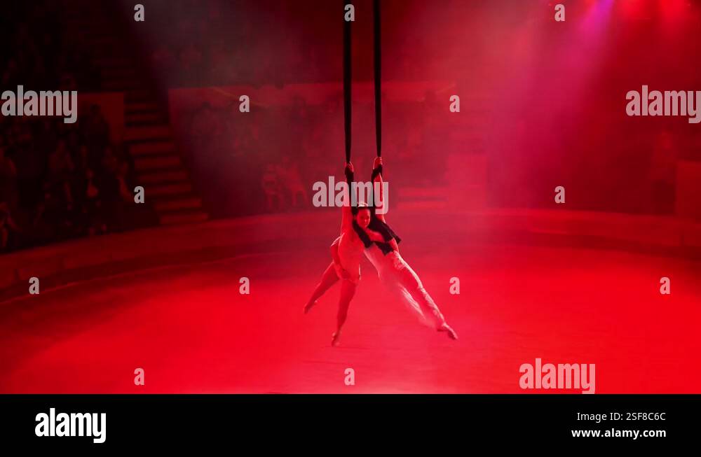 A duo of aerialists hangs on acrobatic belts, arranging a performance ...