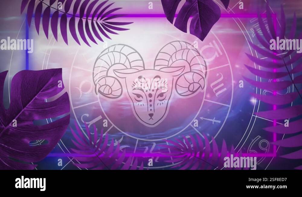 Animation of aries star sign and horoscope zodiac sign wheel on purple ...