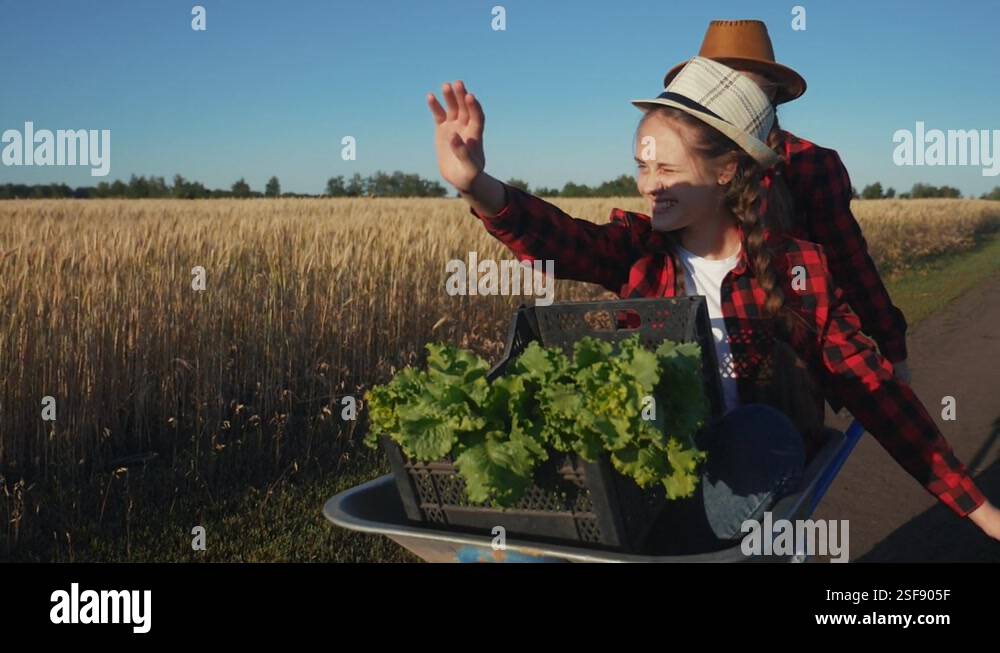 kid children sisters play with a garden trolley car ride on wheelbarrow ...