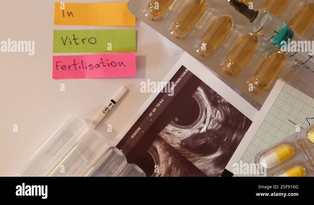 IVF or in vitro fertilisation, reproductive infertility or sterility ...