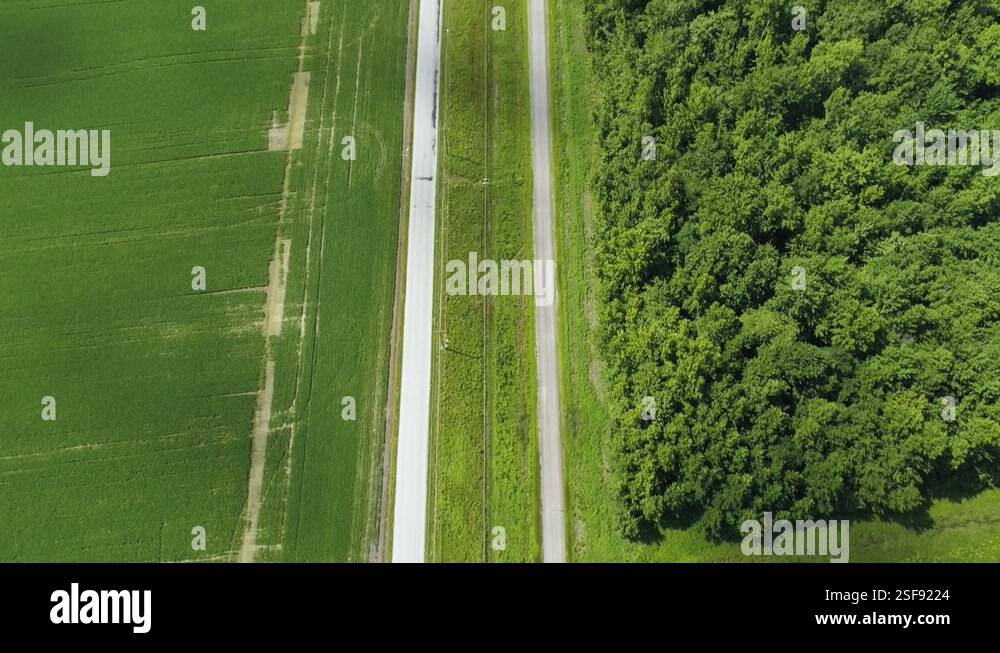 Aerial 4K Footage of Deforestation for Agriculture Line 21 Stock Video ...