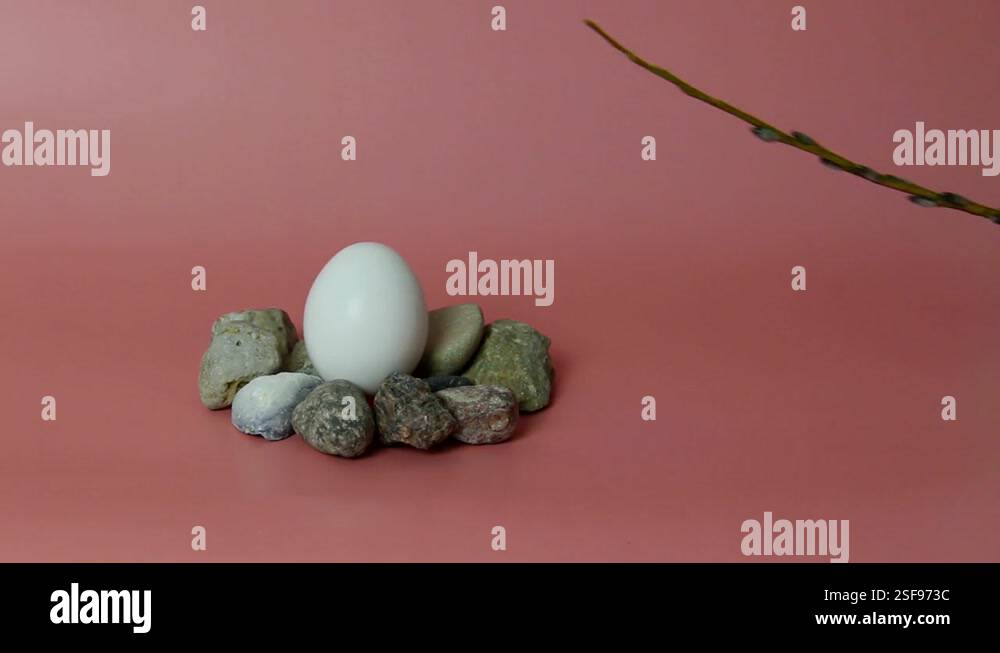 Fragile egg Stock Videos & Footage - HD and 4K Video Clips - Alamy