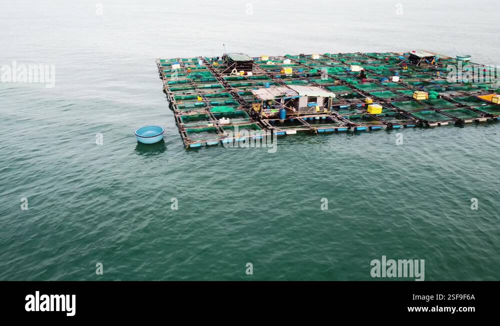Floating fish farm grid in middle of Southeast Asia ocean, fish ...