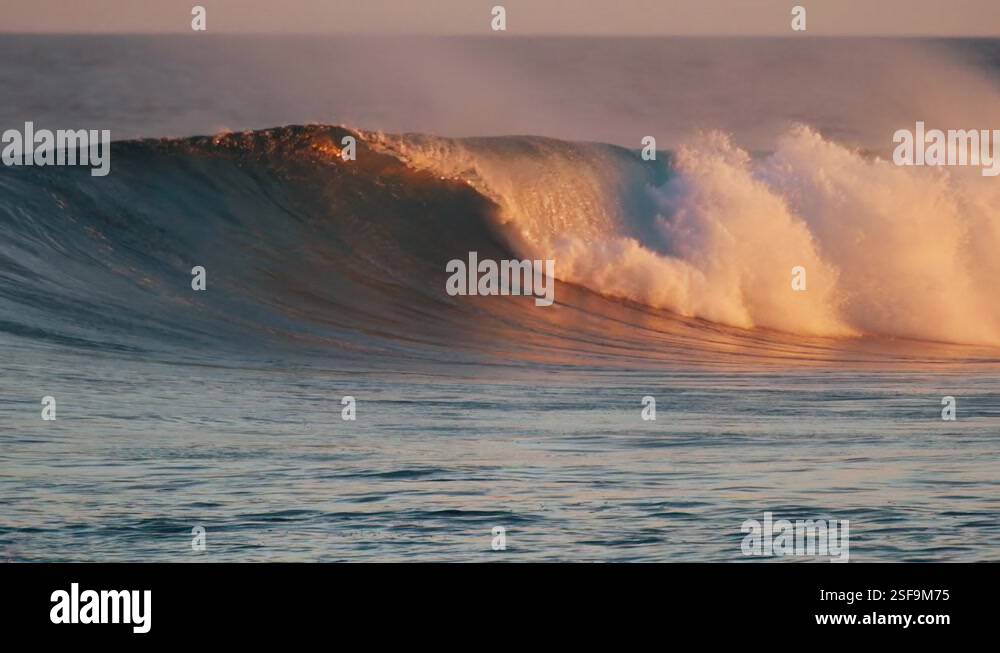 Ocean wave rolls and breaks at Sultans surf spot in Maldives at sunset ...