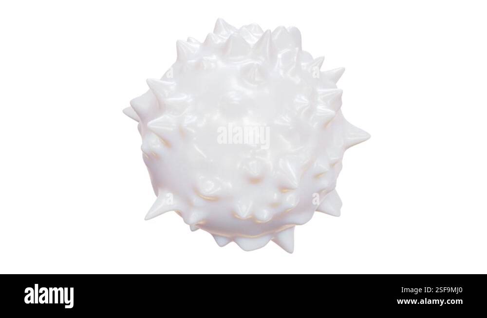 Morphing creamy milky spiky white form looping 3D animation with alpha ...