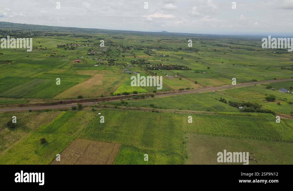 Road amid plantations of rural area near Loitokitok, Kenya, aerial view ...