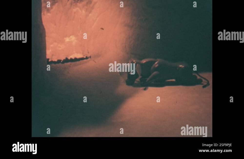 1950s: Hand rises above a puppet of a calf next to fire. The bows its ...