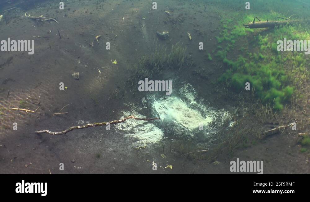 Underwater spring in lake bottom Stock Video Footage - Alamy