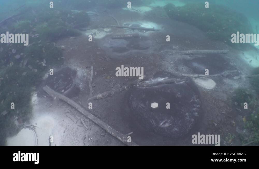 Scary view of natural freshwater spring with bubbling muddy bottom ...