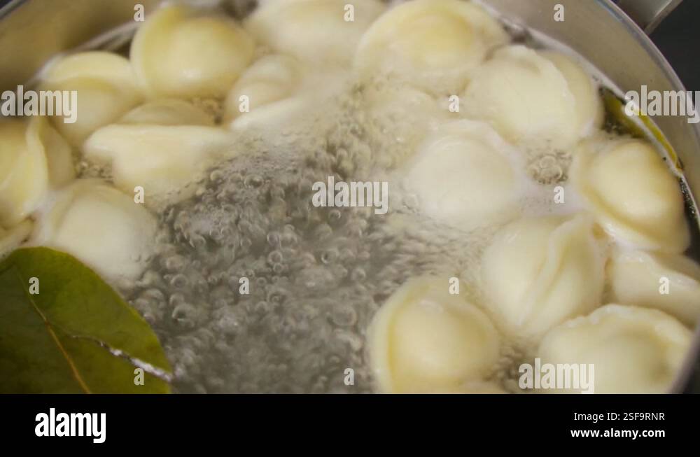 Dumplings in boiling water. Traditional Russian dumplings. Culinary ...