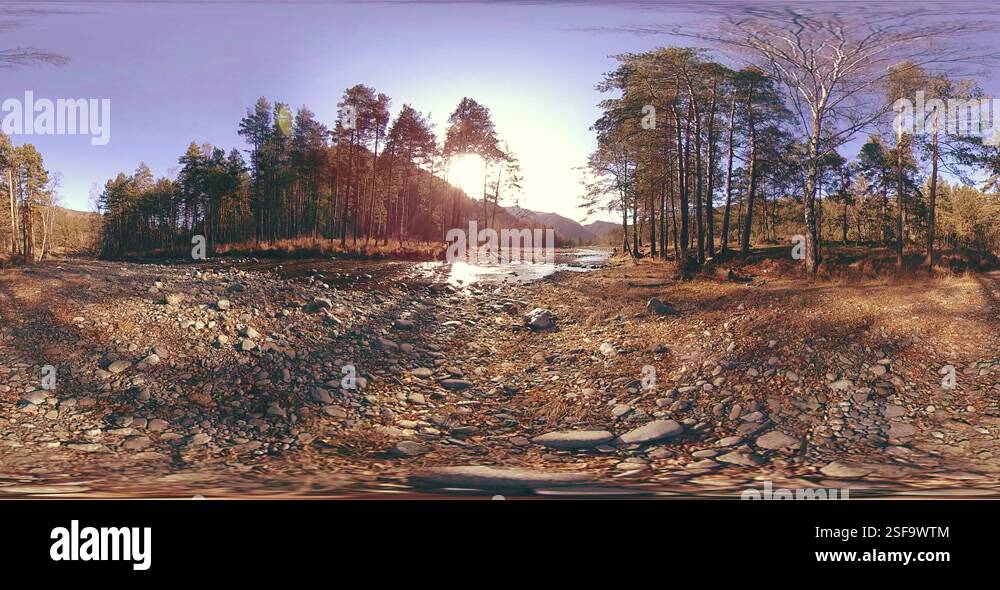 360 VR virtual reality of a wild mountains, pine forest and river flows ...