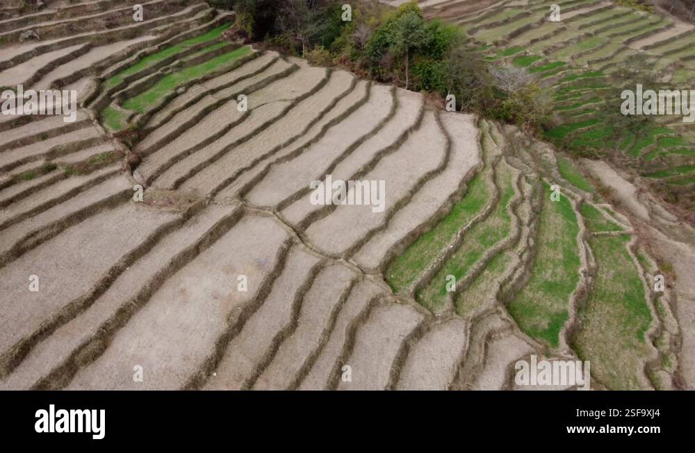 Aerial view of the terraced hillsides in the foothills of Nepal Stock ...