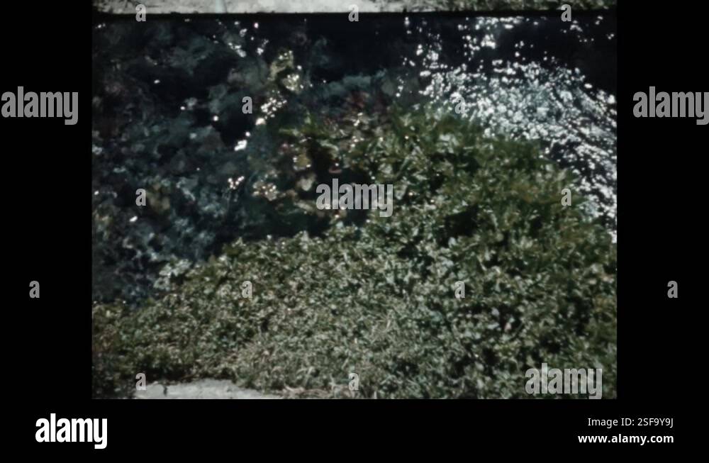 1960s: River flowing past the shore. Rocks in a stream. Water flowing ...