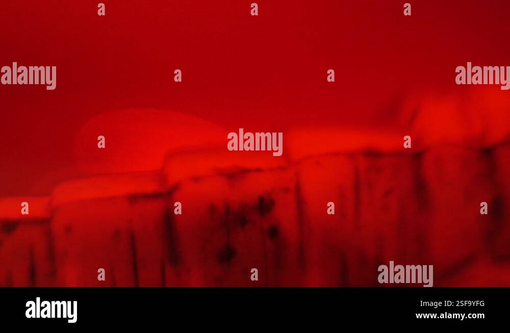 Extraterrestrial Alien inside a bottle Area 51 Lab Extreme Macro Stock ...