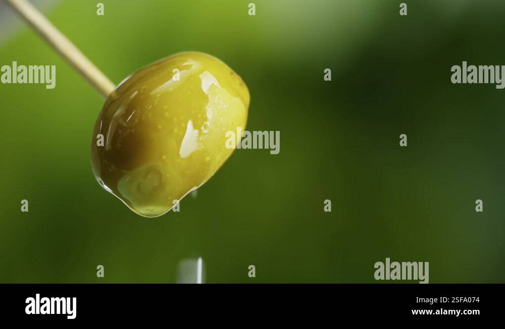 Wet olive on green background close-up. Falling water drops on olive ...
