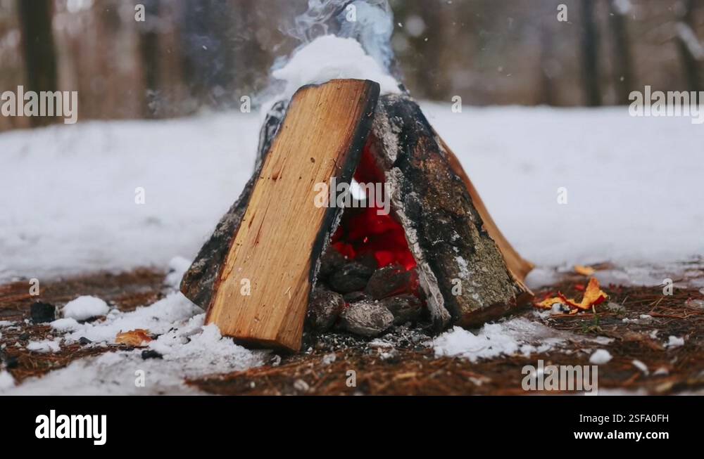 bonfire in winter in the snow. winter picnic. the fire is extinguished ...