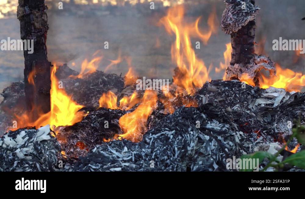 Bonfire burns out leaving ashes at Spring Festival in town Stock Video ...
