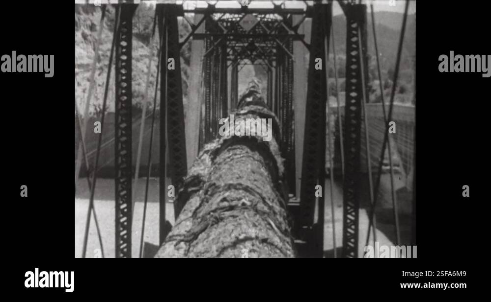 1940s: Tracking shot, train engine driving. Train hauling logs. Man ...