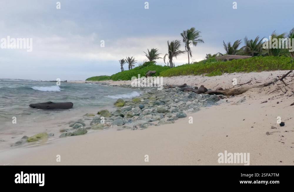 Windy day with a View of sea waves, green palms on the sandy beach in ...